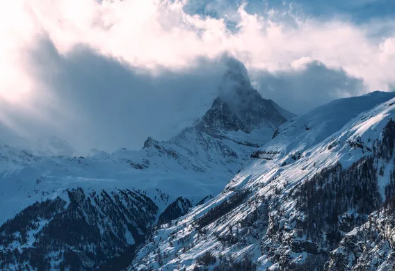 Norwegian Lab | Premium hälsokosttillskott